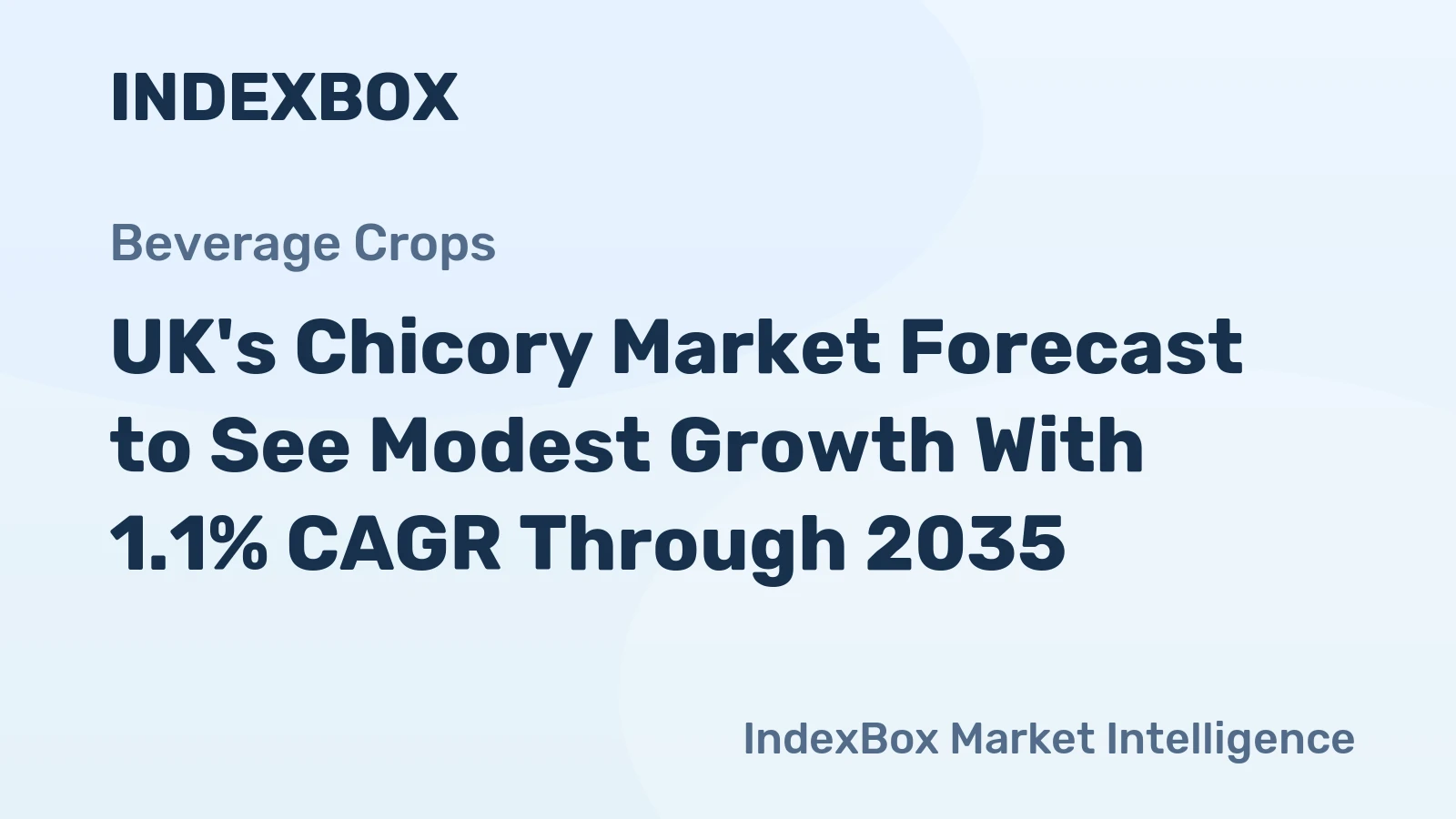UK's Chicory Market Forecast to See Modest Growth With 1.1% CAGR Through 2035