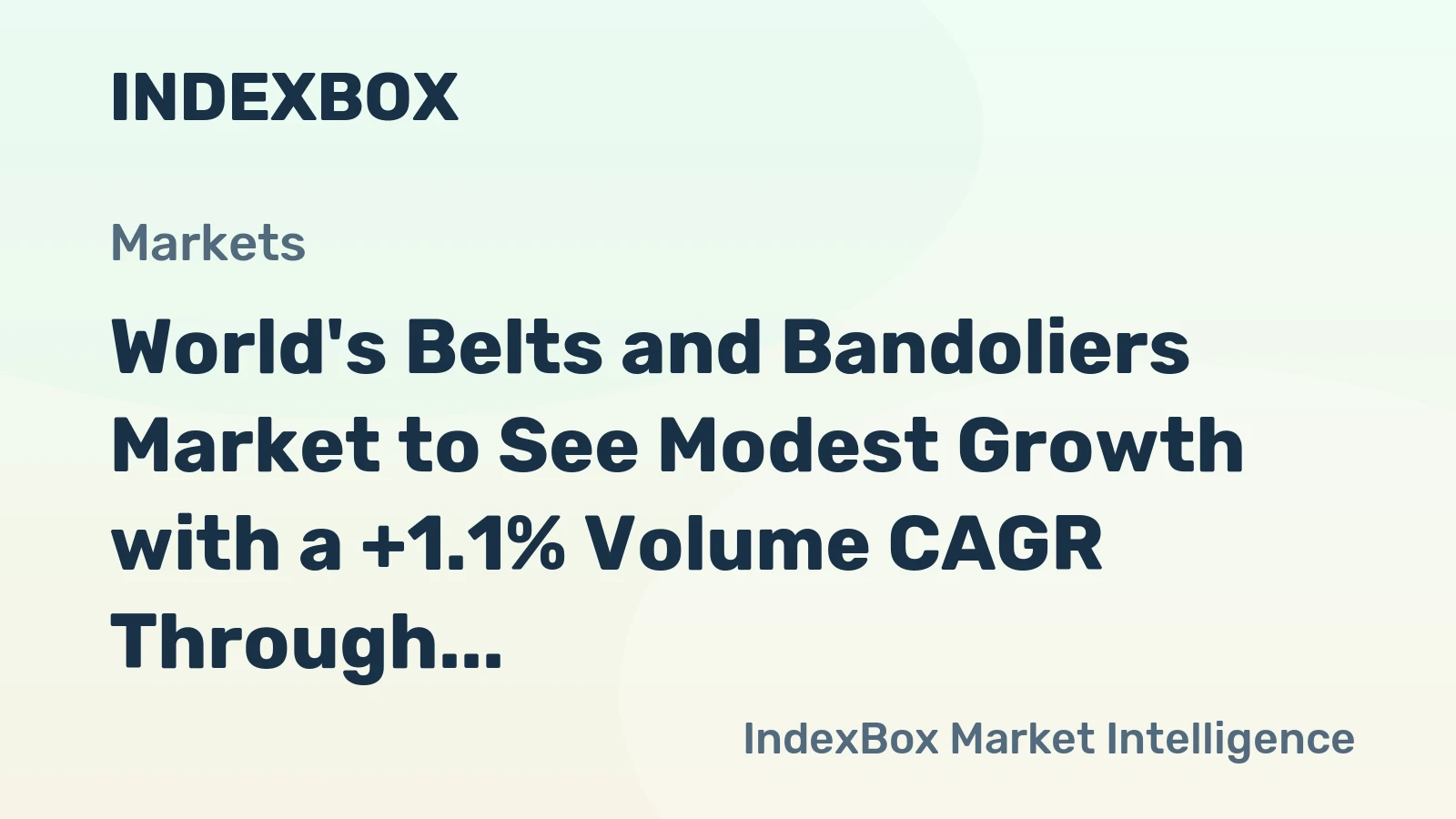 World's Belts and Bandoliers Market to See Modest Growth with a +1.1% Volume CAGR Through 2035