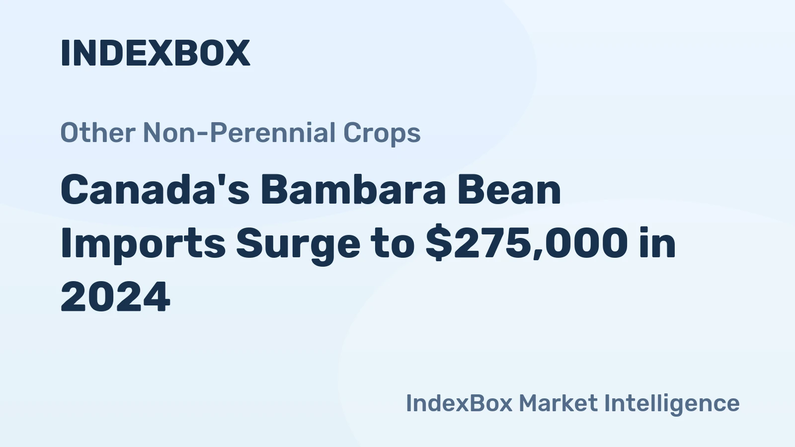 Canada's Bambara Bean Imports Surge to $275,000 in 2024