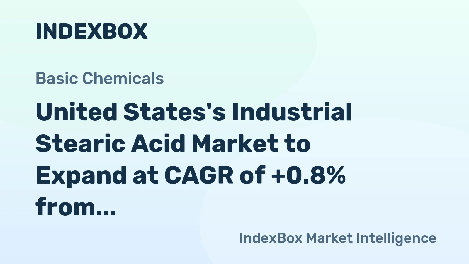 United States's Industrial Stearic Acid Market to Expand at CAGR of +0.8% from 2024 to 2035, Reaching 384K Tons