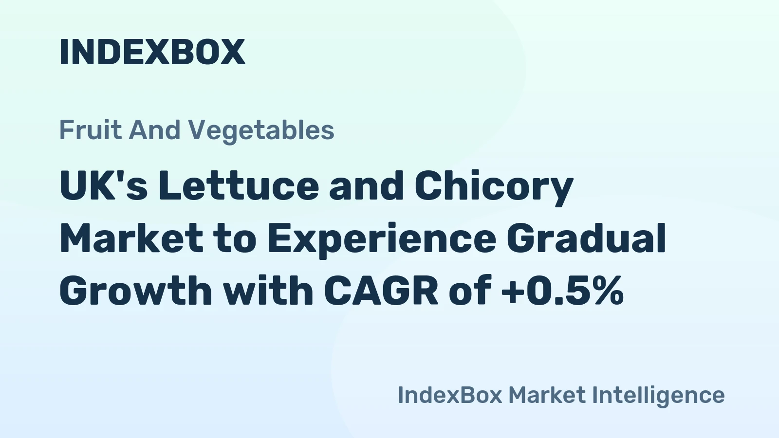 UK's Lettuce and Chicory Market to Experience Gradual Growth with CAGR of +0.5%
