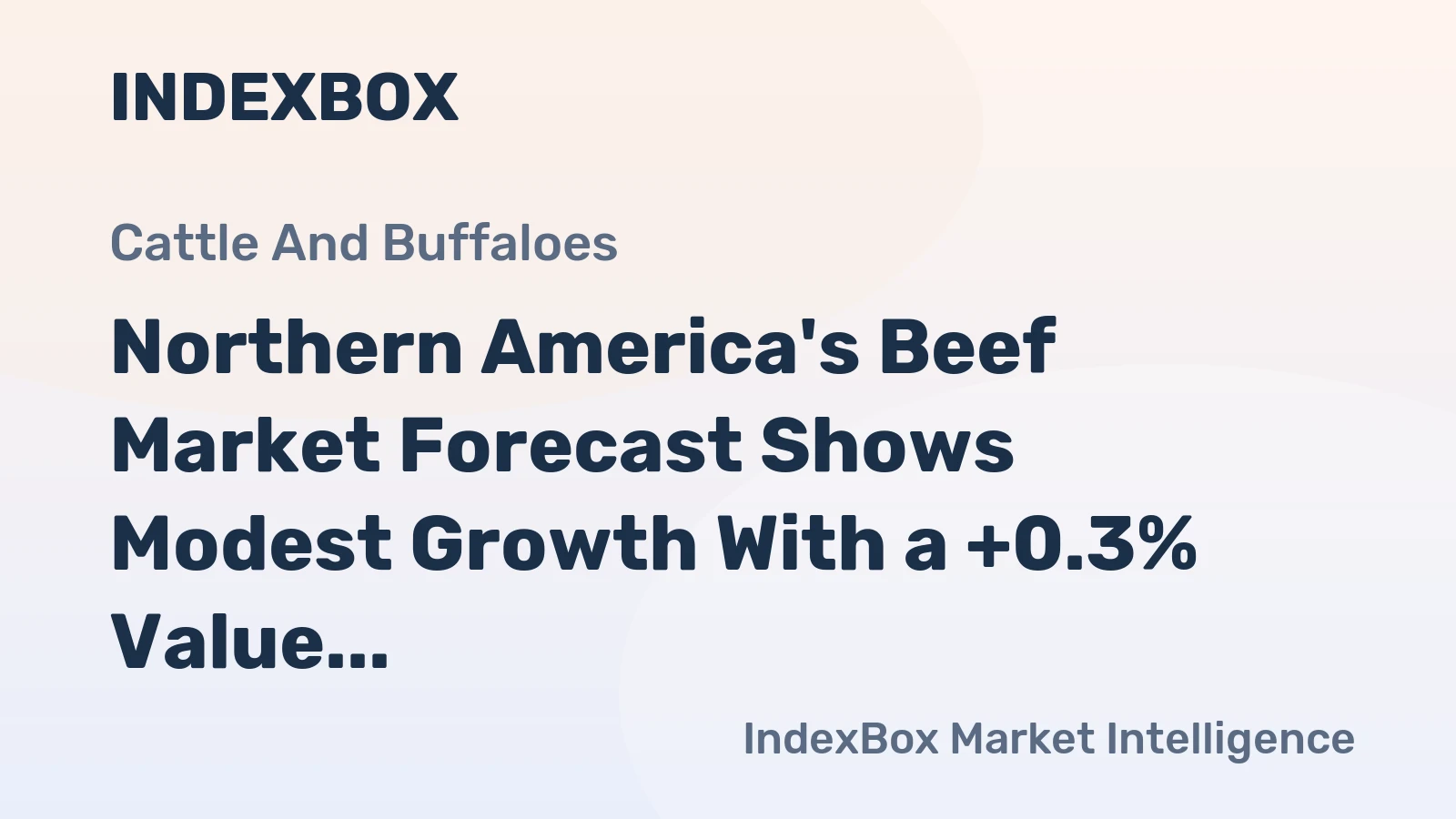 Northern America's Beef Market Forecast Shows Modest Growth With a +0.3% Value CAGR