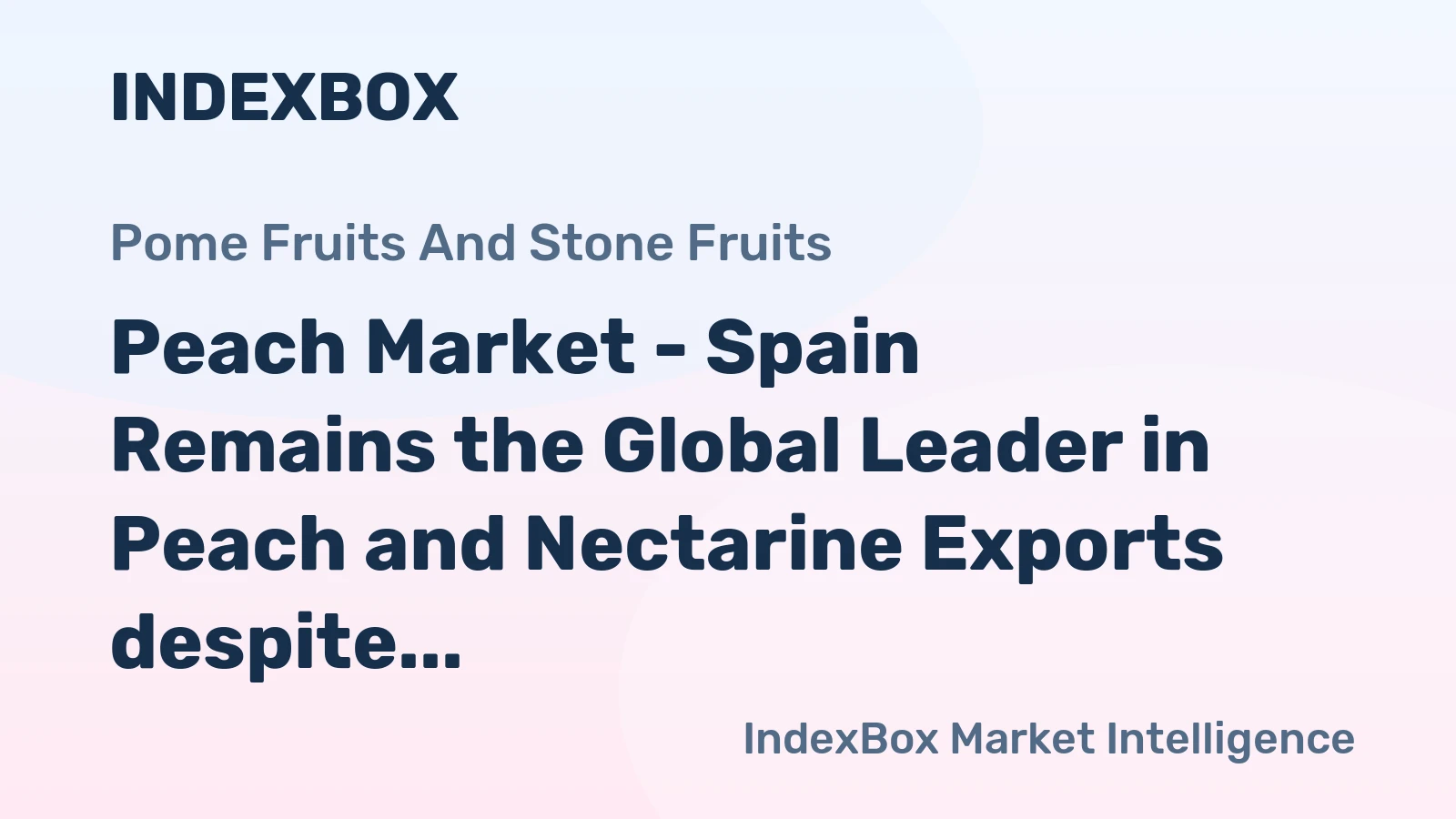 Peach Market - Spain Remains the Global Leader in Peach and Nectarine Exports despite 5% Drop