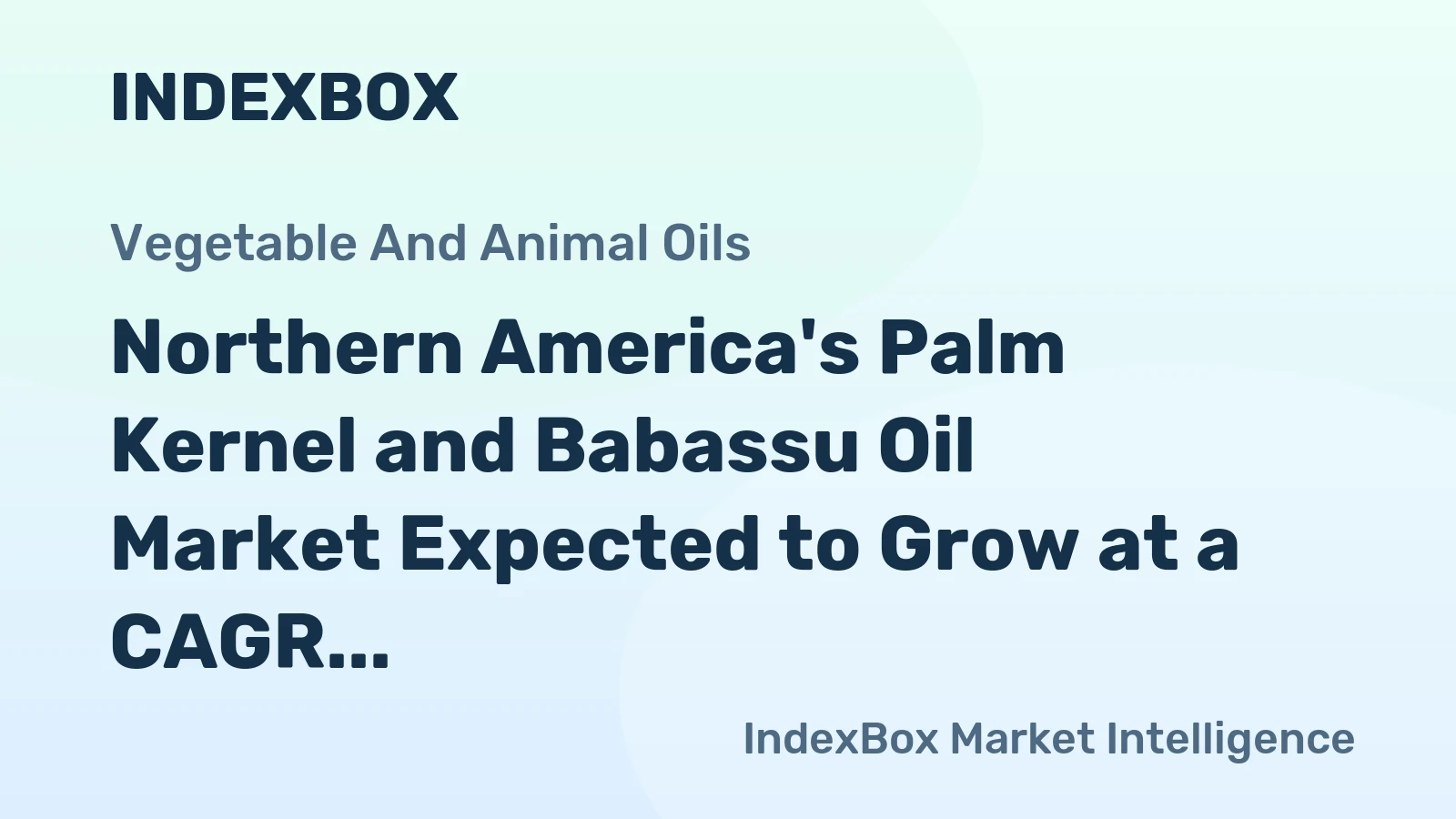 Northern America's Palm Kernel and Babassu Oil Market Expected to Grow at a CAGR of +0.2% Until 2035