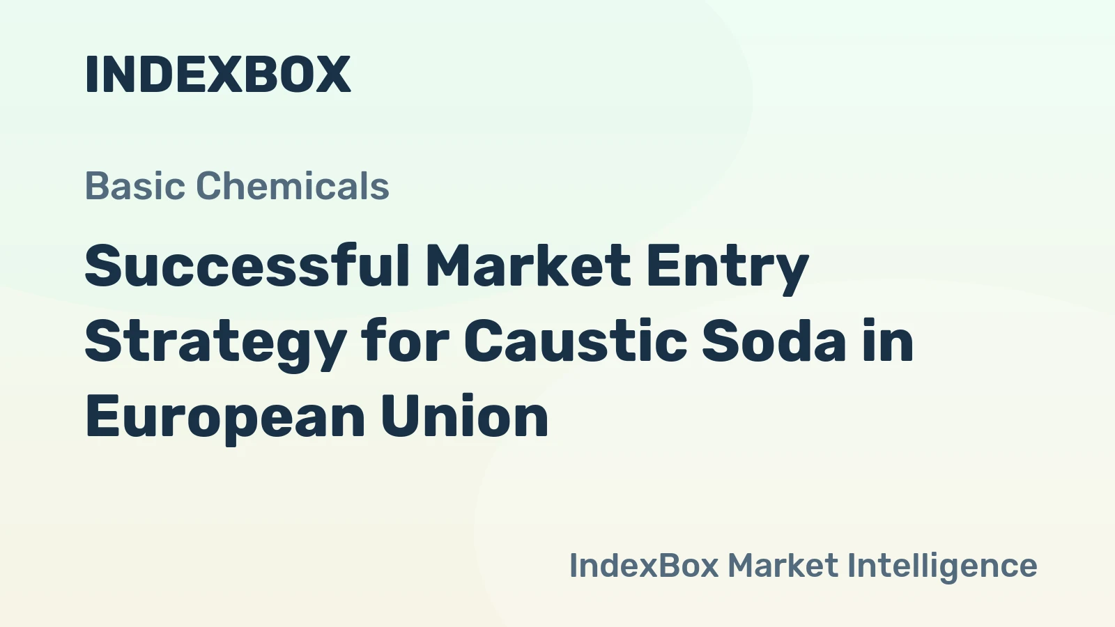 Successful Market Entry Strategy for Caustic Soda in European Union