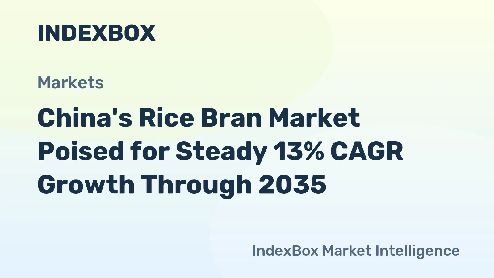 China's Rice Bran Market Poised for Steady 13% CAGR Growth Through 2035