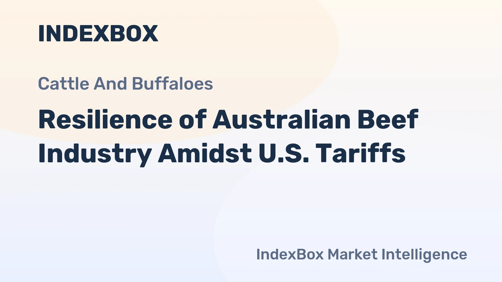 Resilience of Australian Beef Industry Amidst U.S. Tariffs