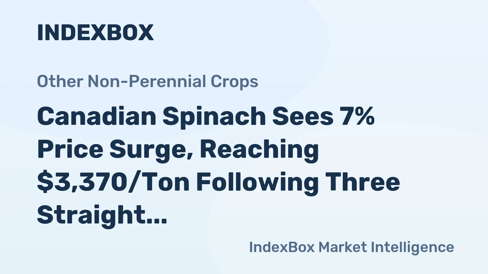 Canadian Spinach Sees 7% Price Surge, Reaching $3,370/Ton Following Three Straight Months of Growth