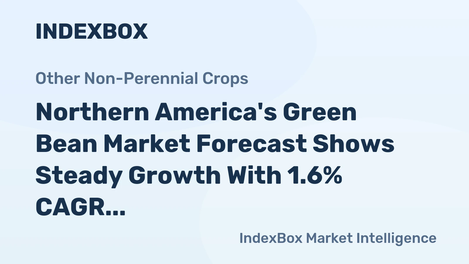 Northern America's Green Bean Market Forecast Shows Steady Growth With 1.6% CAGR Through 2035