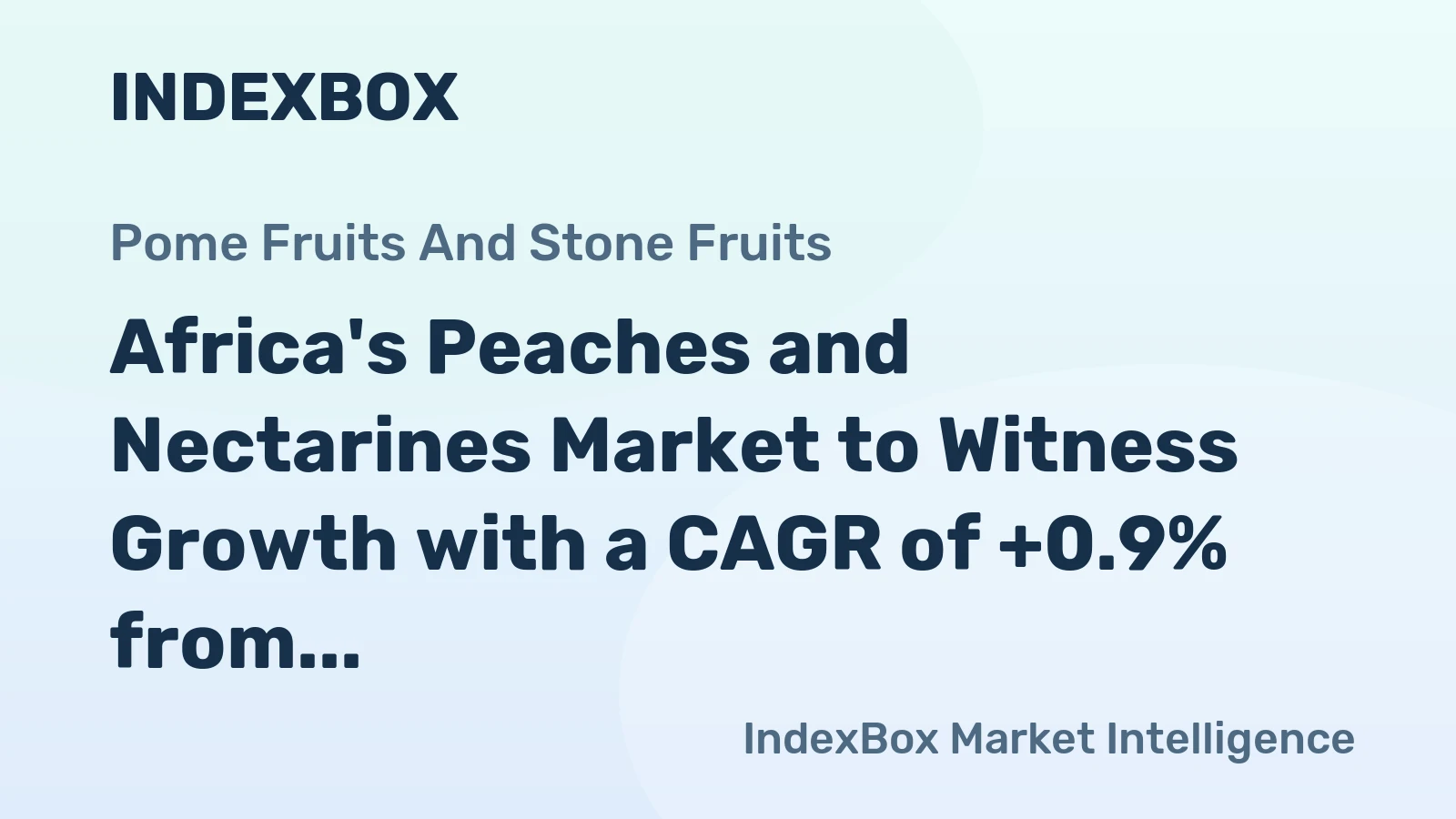 Africa's Peaches and Nectarines Market to Witness Growth with a CAGR of +0.9% from 2024 to 2035