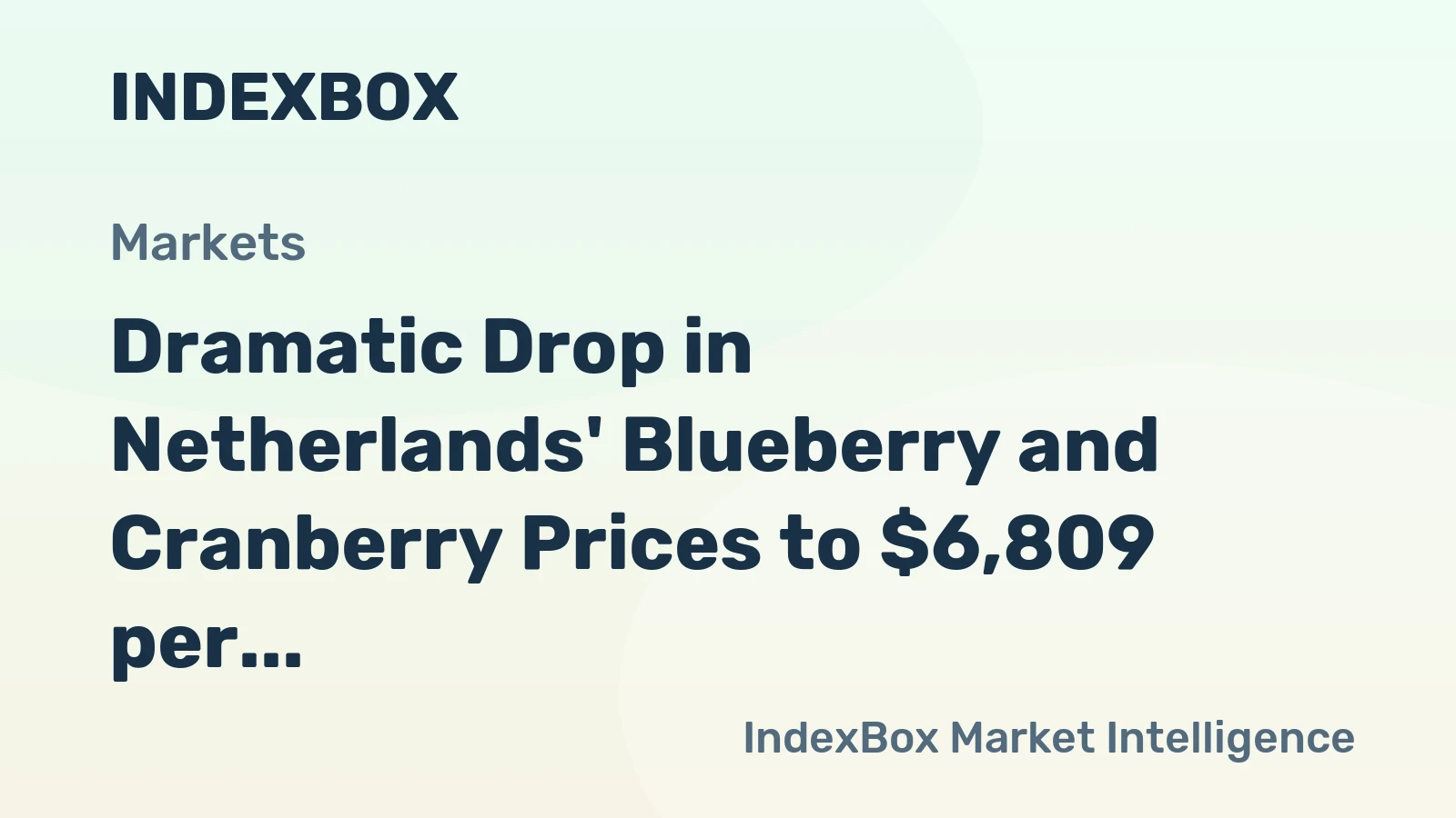 Dramatic Drop in Netherlands' Blueberry and Cranberry Prices to $6,809 per Ton