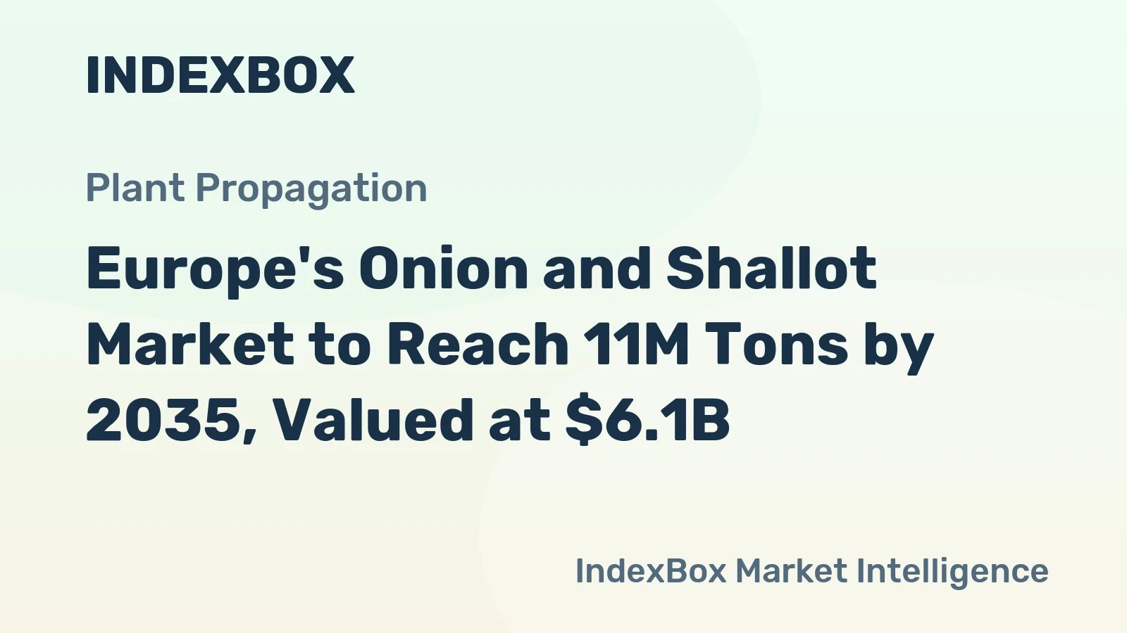Europe's Onion and Shallot Market to Reach 11M Tons by 2035, Valued at $6.1B