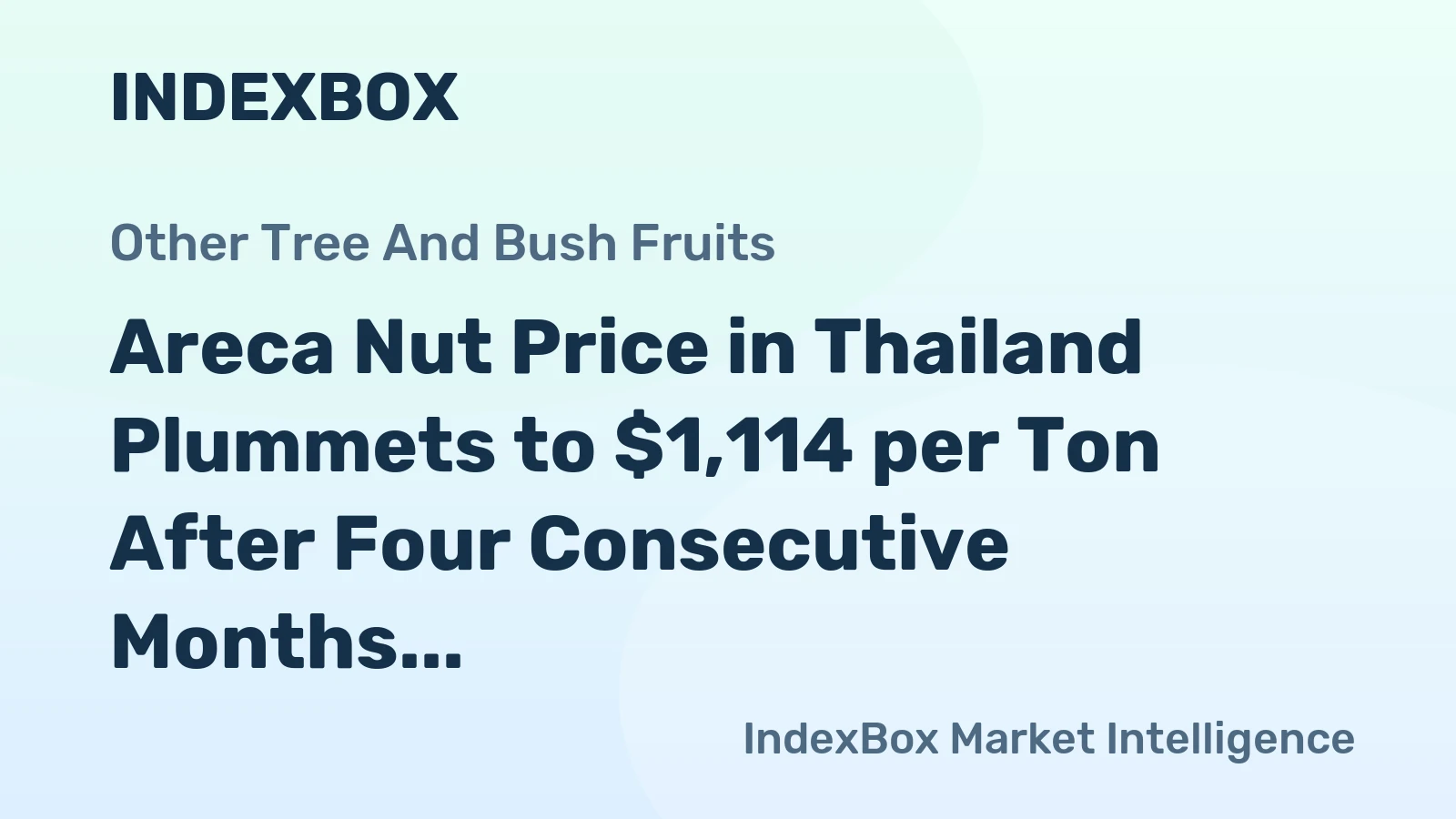 Areca Nut Price in Thailand Plummets to $1,114 per Ton After Four Consecutive Months of Contraction