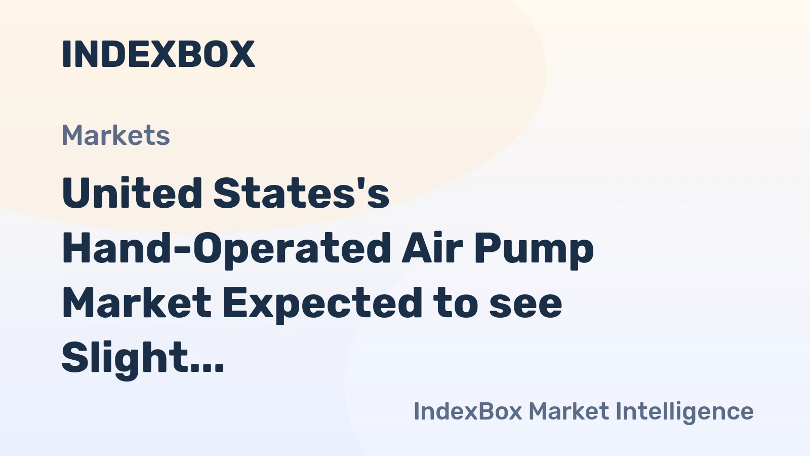 United States's Hand-Operated Air Pump Market Expected to see Slight Growth with CAGR of +0.2%