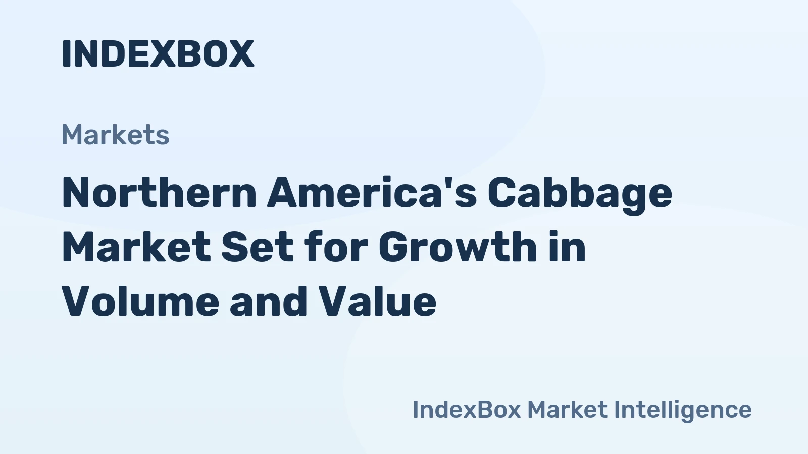 Northern America's Cabbage Market Set for Growth in Volume and Value