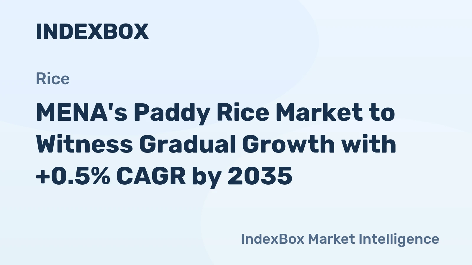 MENA's Paddy Rice Market to Witness Gradual Growth with +0.5% CAGR by 2035