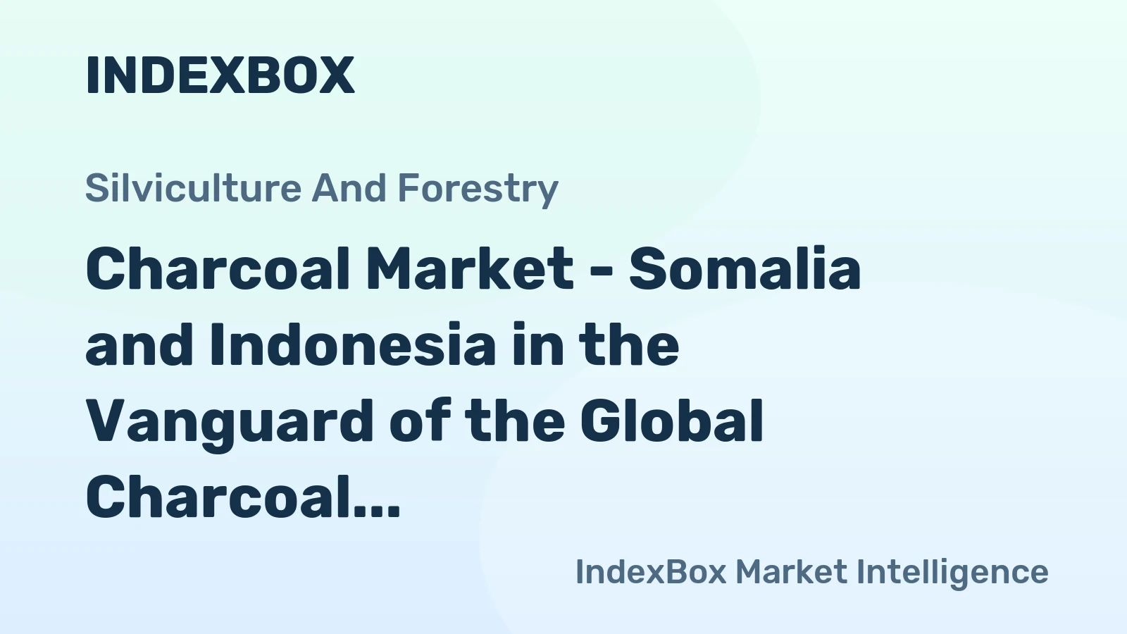 Charcoal Market - Somalia and Indonesia in the Vanguard of the Global Charcoal Trade