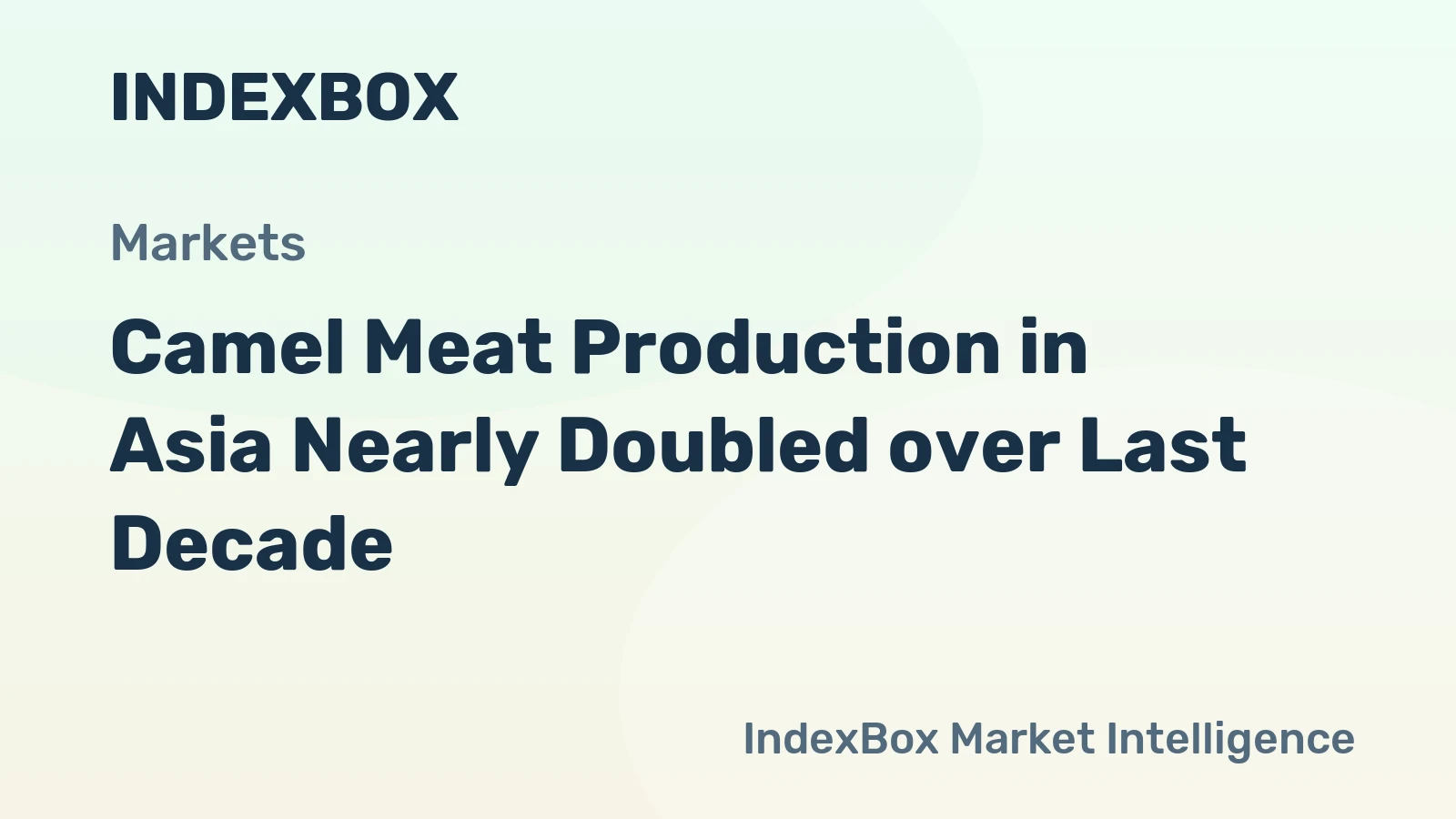 Camel Meat Production in Asia Nearly Doubled over Last Decade