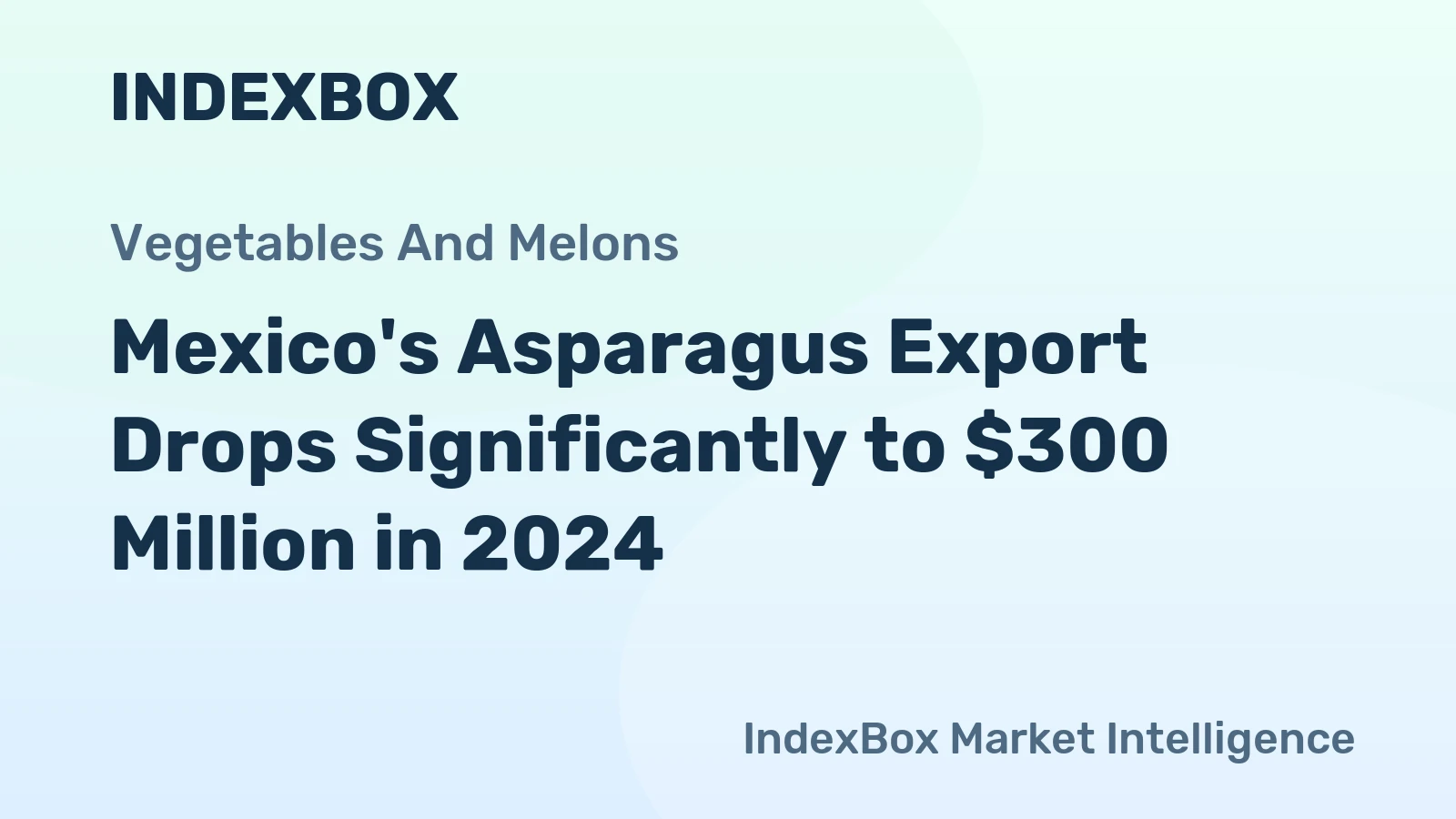 Mexico's Asparagus Export Drops Significantly to $300 Million in 2024