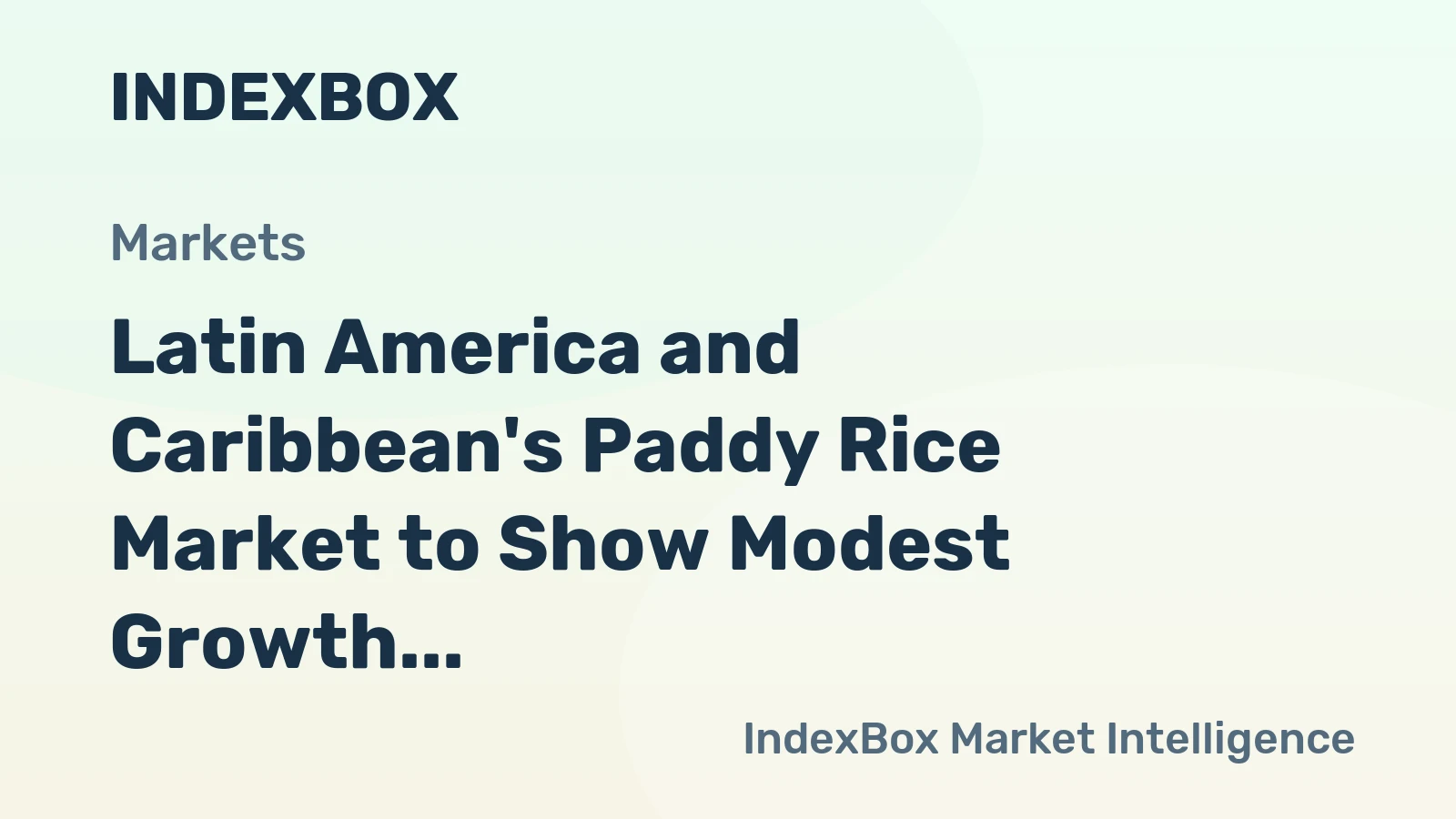 Latin America and Caribbean's Paddy Rice Market to Show Modest Growth Reaching 30M Tons and $18.1B by 2035