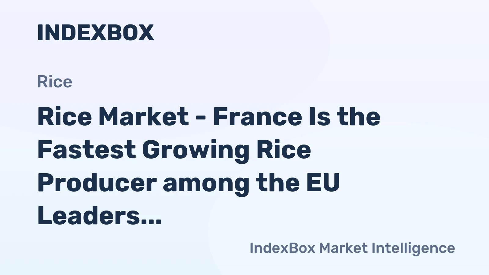 Rice Market - France Is the Fastest Growing Rice Producer among the EU Leaders