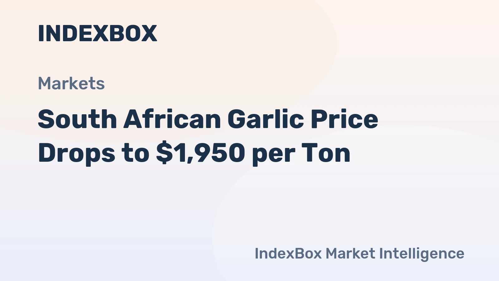 South African Garlic Price Drops to $1,950 per Ton