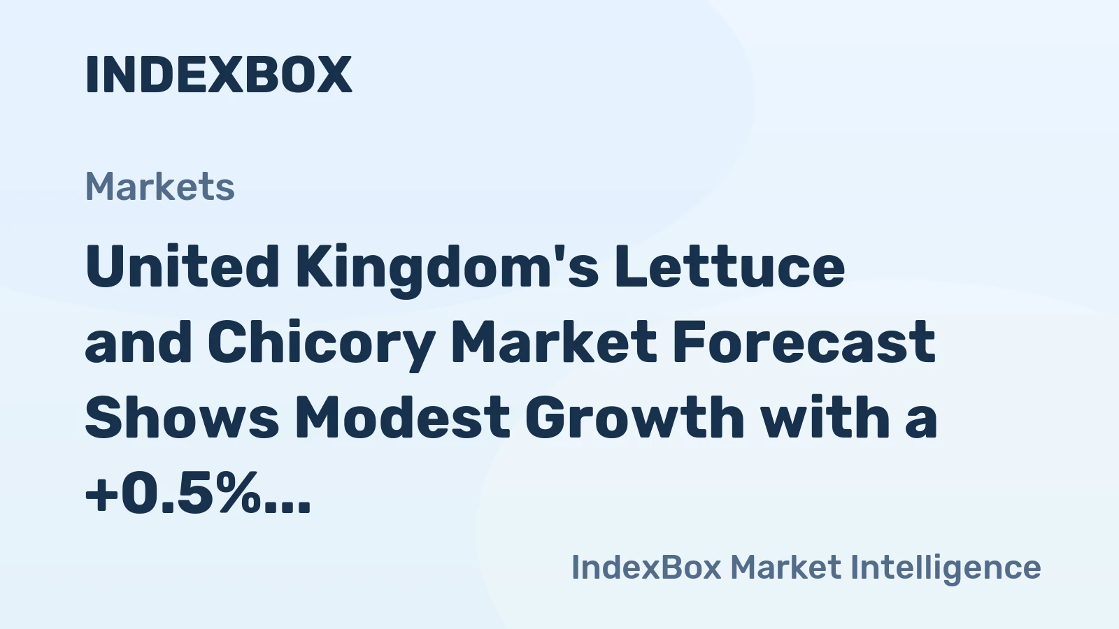United Kingdom's Lettuce and Chicory Market Forecast Shows Modest Growth with a +0.5% Volume CAGR