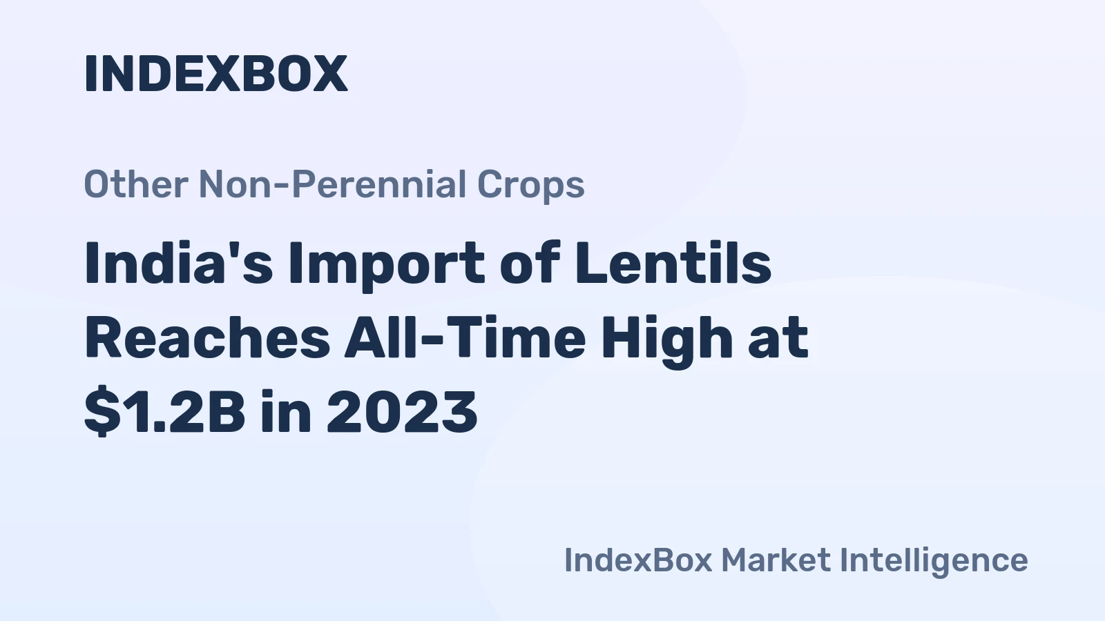 India's Import of Lentils Reaches All-Time High at $1.2B in 2023
