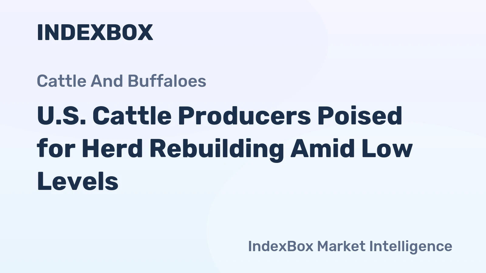 U.S. Cattle Producers Poised for Herd Rebuilding Amid Low Levels