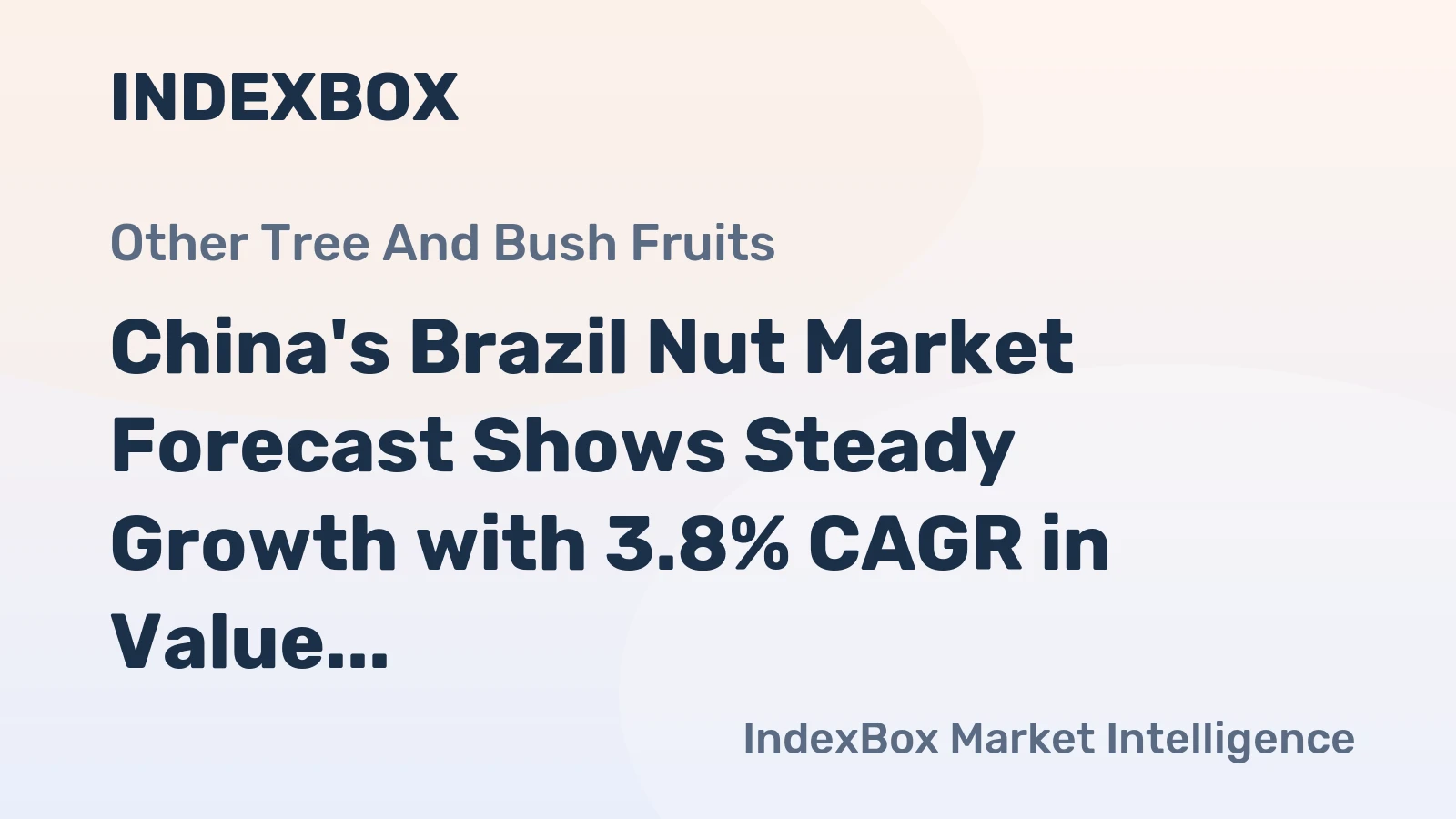 China's Brazil Nut Market Forecast Shows Steady Growth with 3.8% CAGR in Value Through 2035