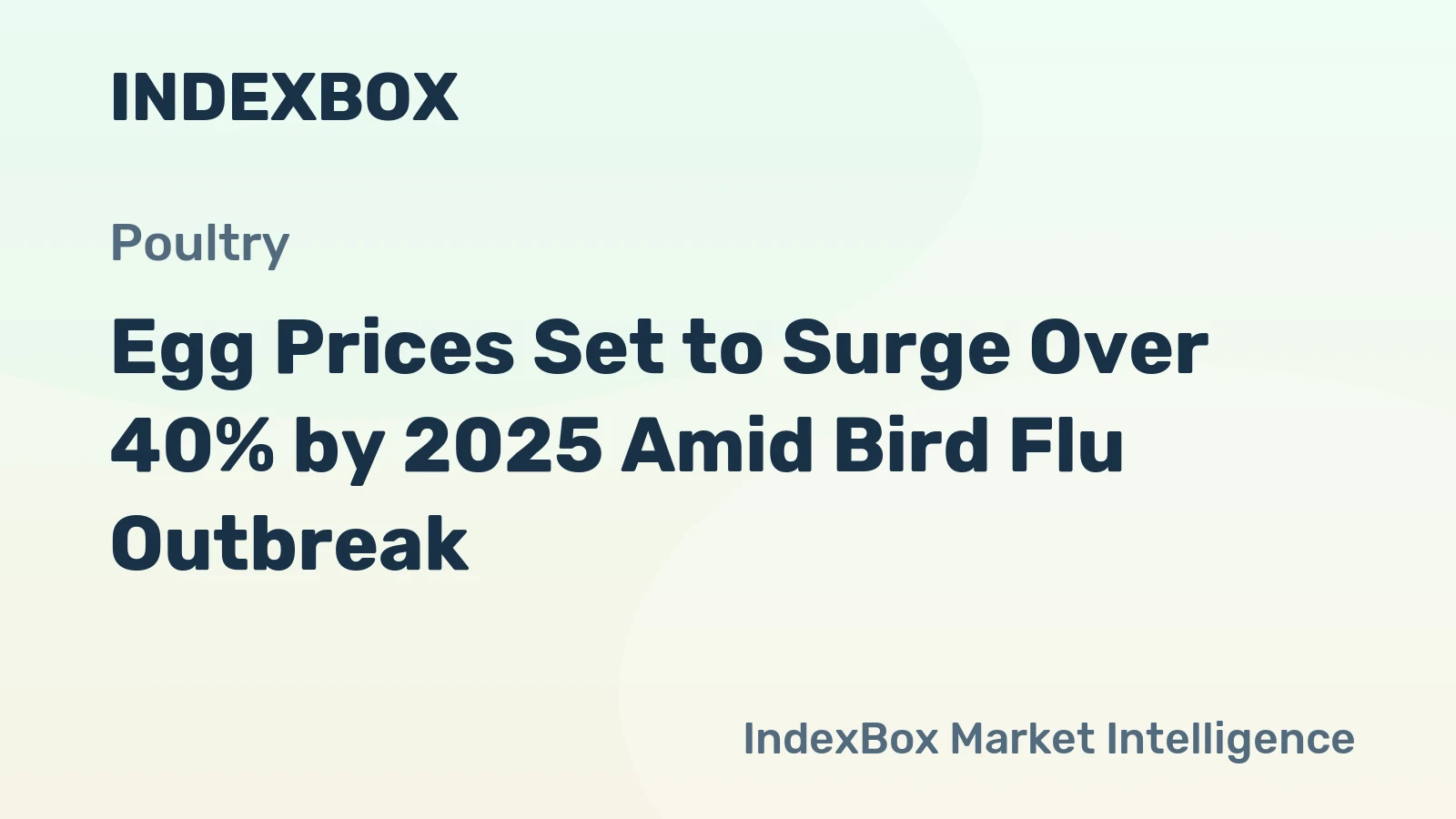 Egg Prices Set to Surge Over 40% by 2025 Amid Bird Flu Outbreak