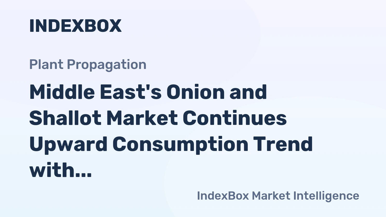 Middle East's Onion and Shallot Market Continues Upward Consumption Trend with Anticipated CAGR of +0.6%