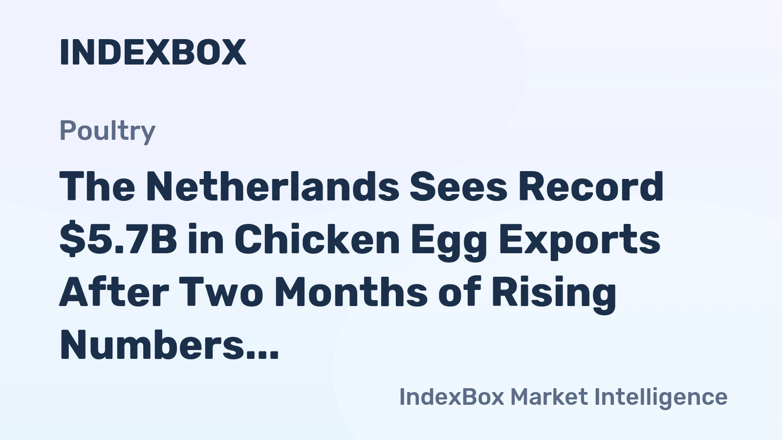 The Netherlands Sees Record $5.7B in Chicken Egg Exports After Two Months of Rising Numbers in 2024