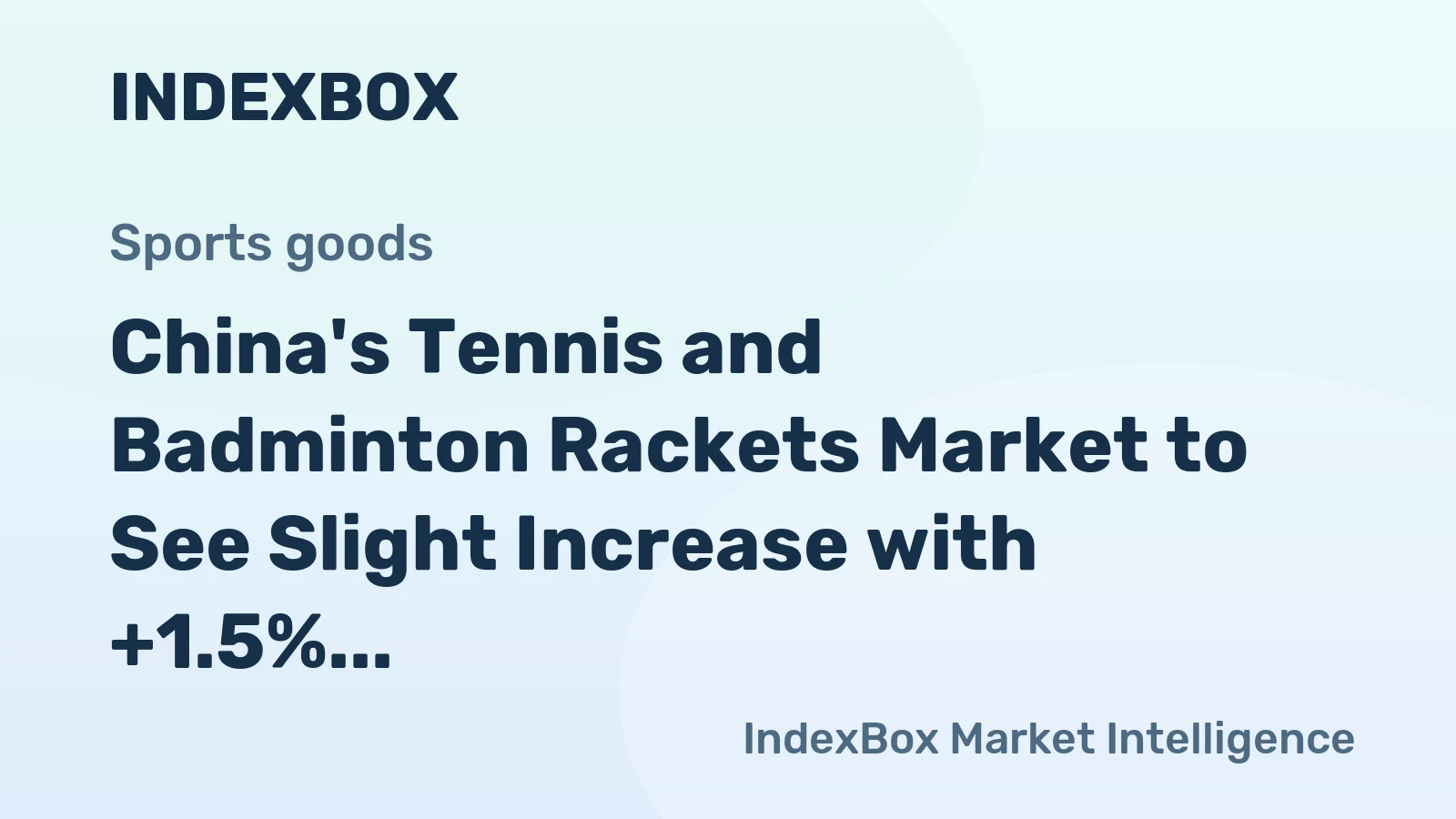 China's Tennis and Badminton Rackets Market to See Slight Increase with +1.5% CAGR Over Next Decade