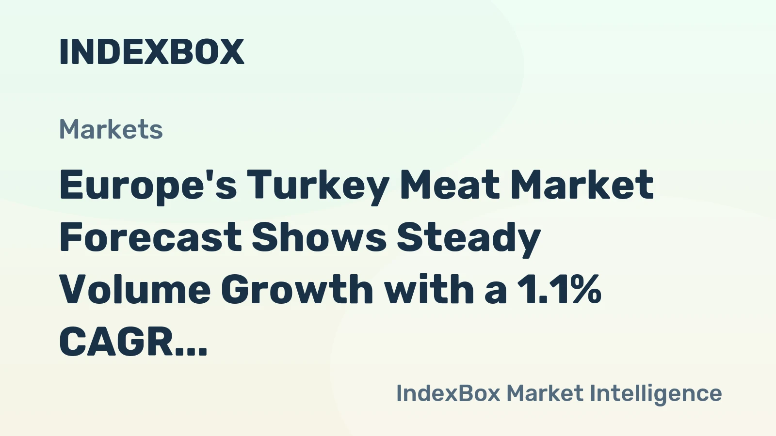 Europe's Turkey Meat Market Forecast Shows Steady Volume Growth with a 1.1% CAGR Amid Slower Value Increase
