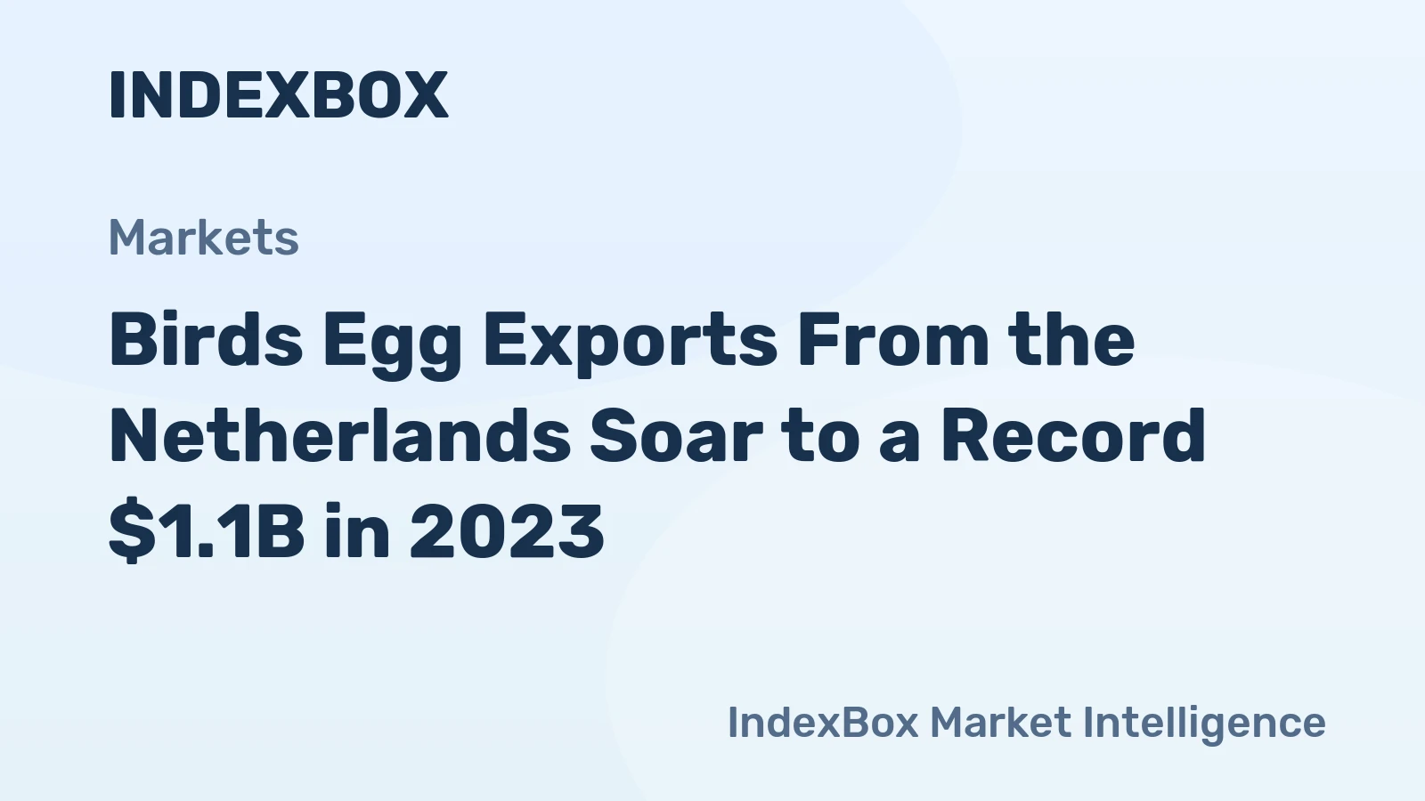 Birds Egg Exports From the Netherlands Soar to a Record $1.1B in 2023