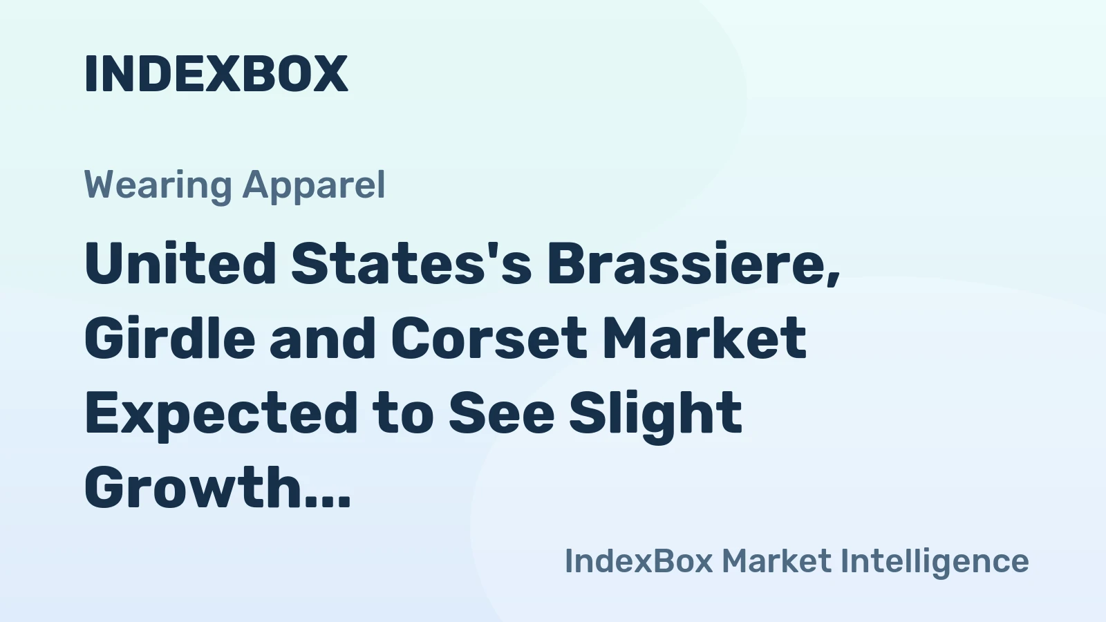 United States's Brassiere, Girdle and Corset Market Expected to See Slight Growth with +0.2% CAGR