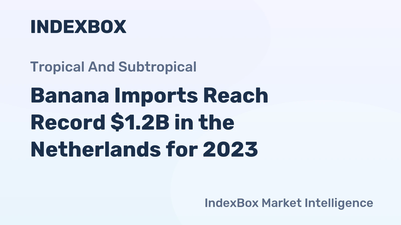 Banana Imports Reach Record $1.2B in the Netherlands for 2023
