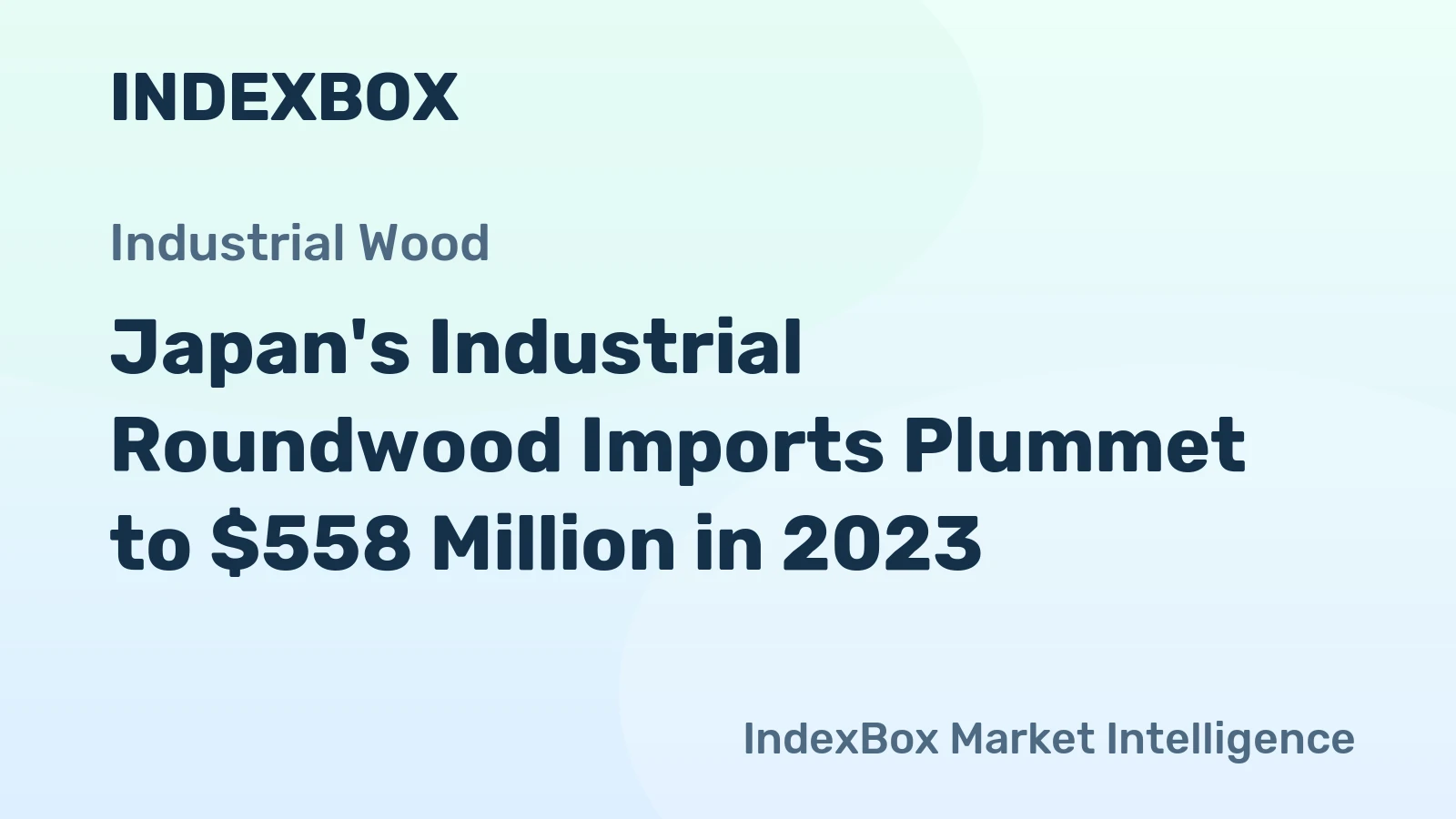 Japan's Industrial Roundwood Imports Plummet to $558 Million in 2023