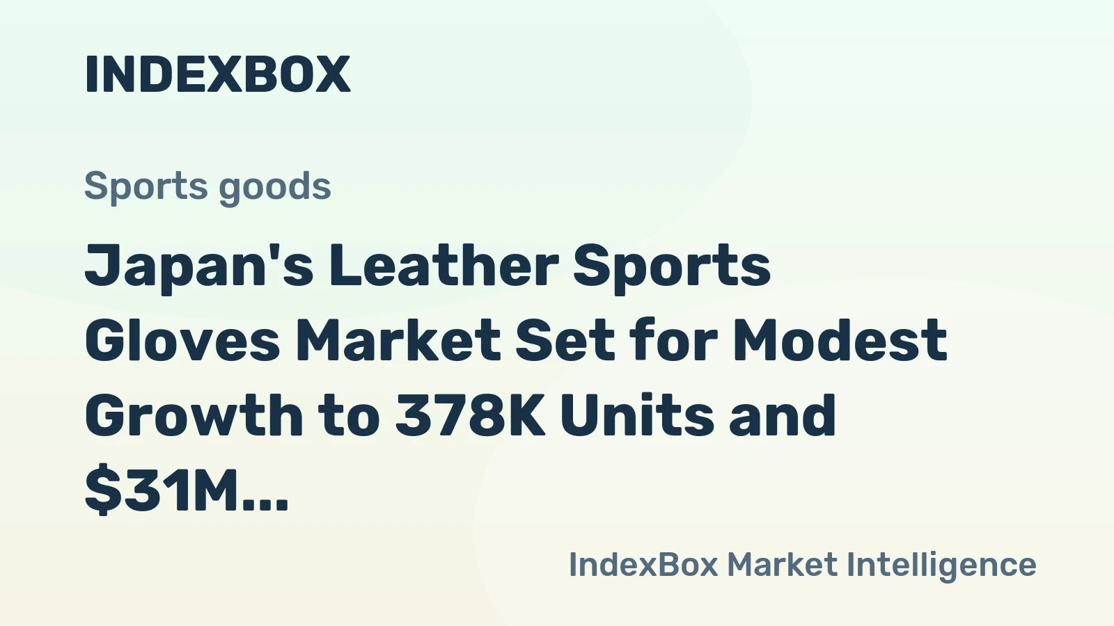 Japan's Leather Sports Gloves Market Set for Modest Growth to 378K Units and $31M