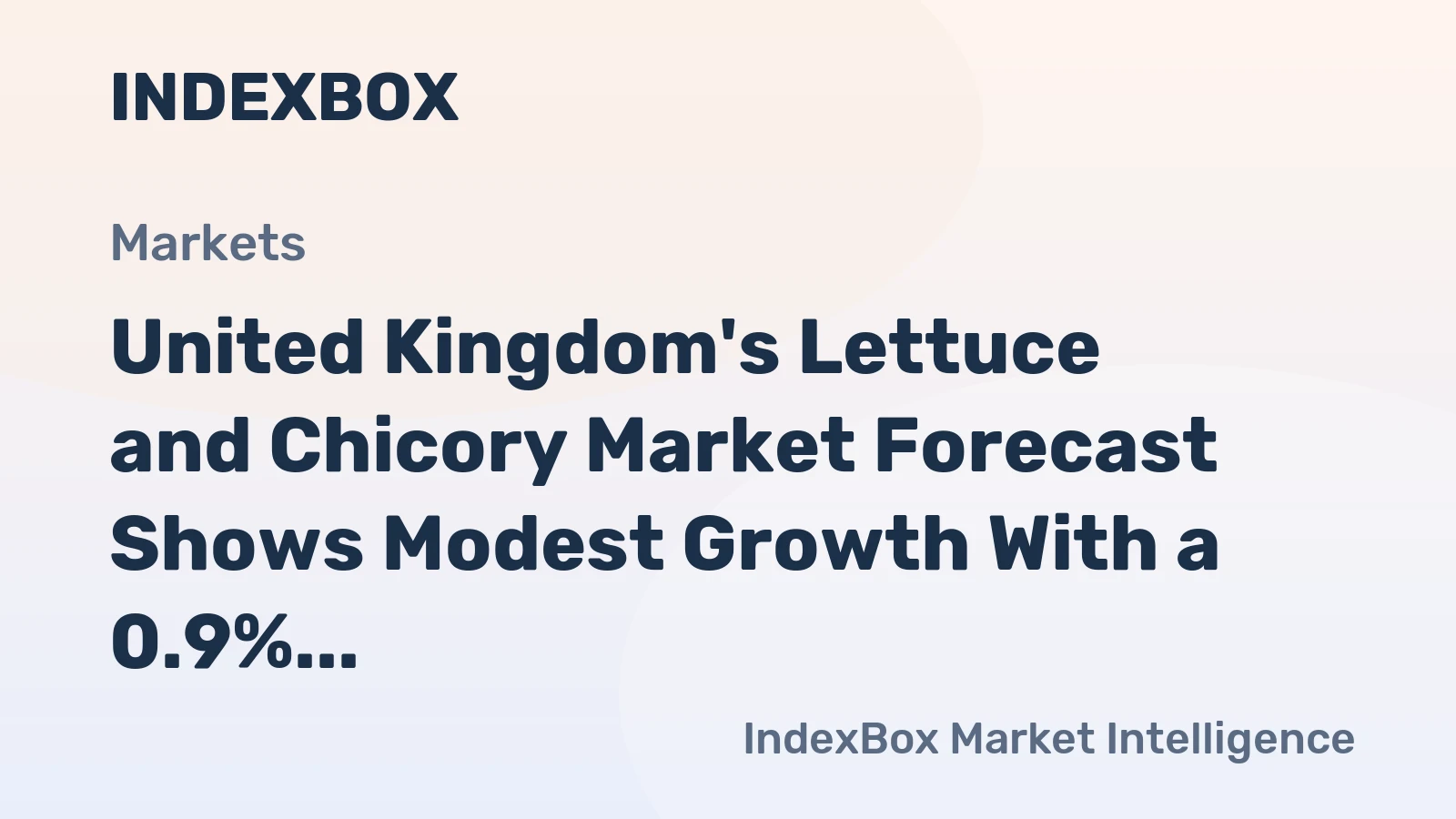 United Kingdom's Lettuce and Chicory Market Forecast Shows Modest Growth With a 0.9% CAGR in Value
