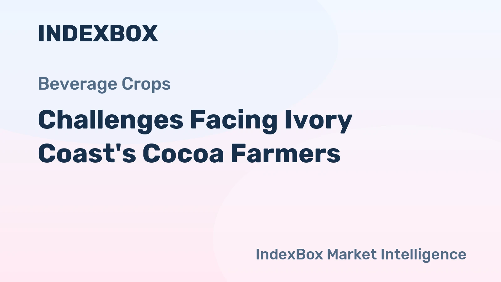 Challenges Facing Ivory Coast's Cocoa Farmers