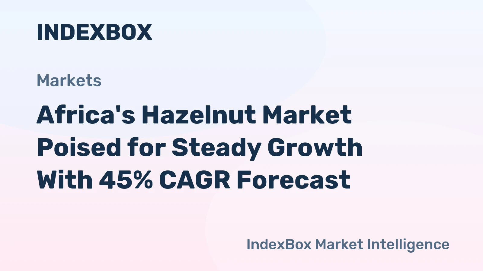 Africa's Hazelnut Market Poised for Steady Growth With 45% CAGR Forecast