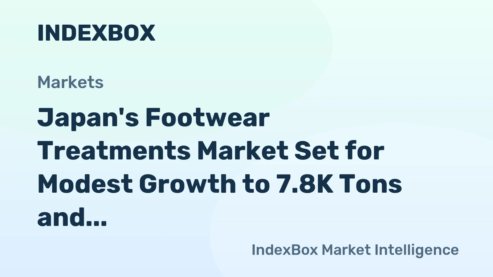 Japan's Footwear Treatments Market Set for Modest Growth to 7.8K Tons and $171M