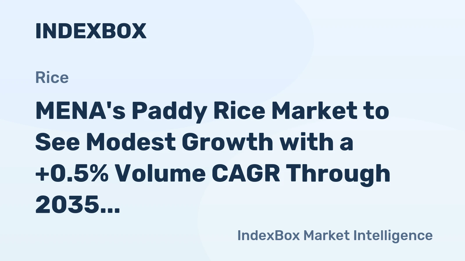 MENA's Paddy Rice Market to See Modest Growth with a +0.5% Volume CAGR Through 2035
