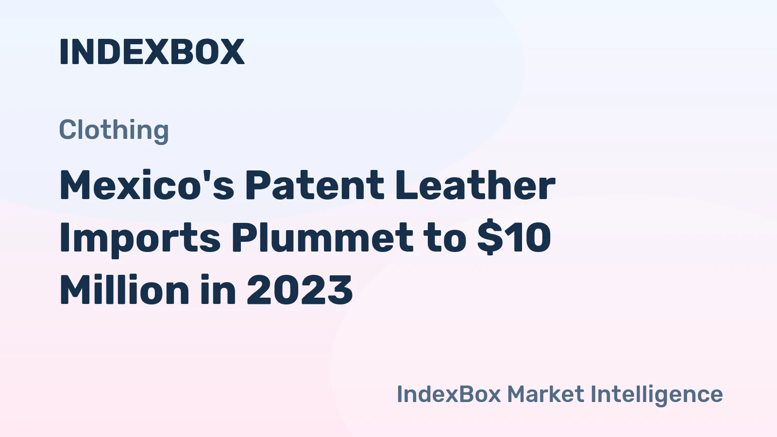Mexico's Patent Leather Imports Plummet to $10 Million in 2023