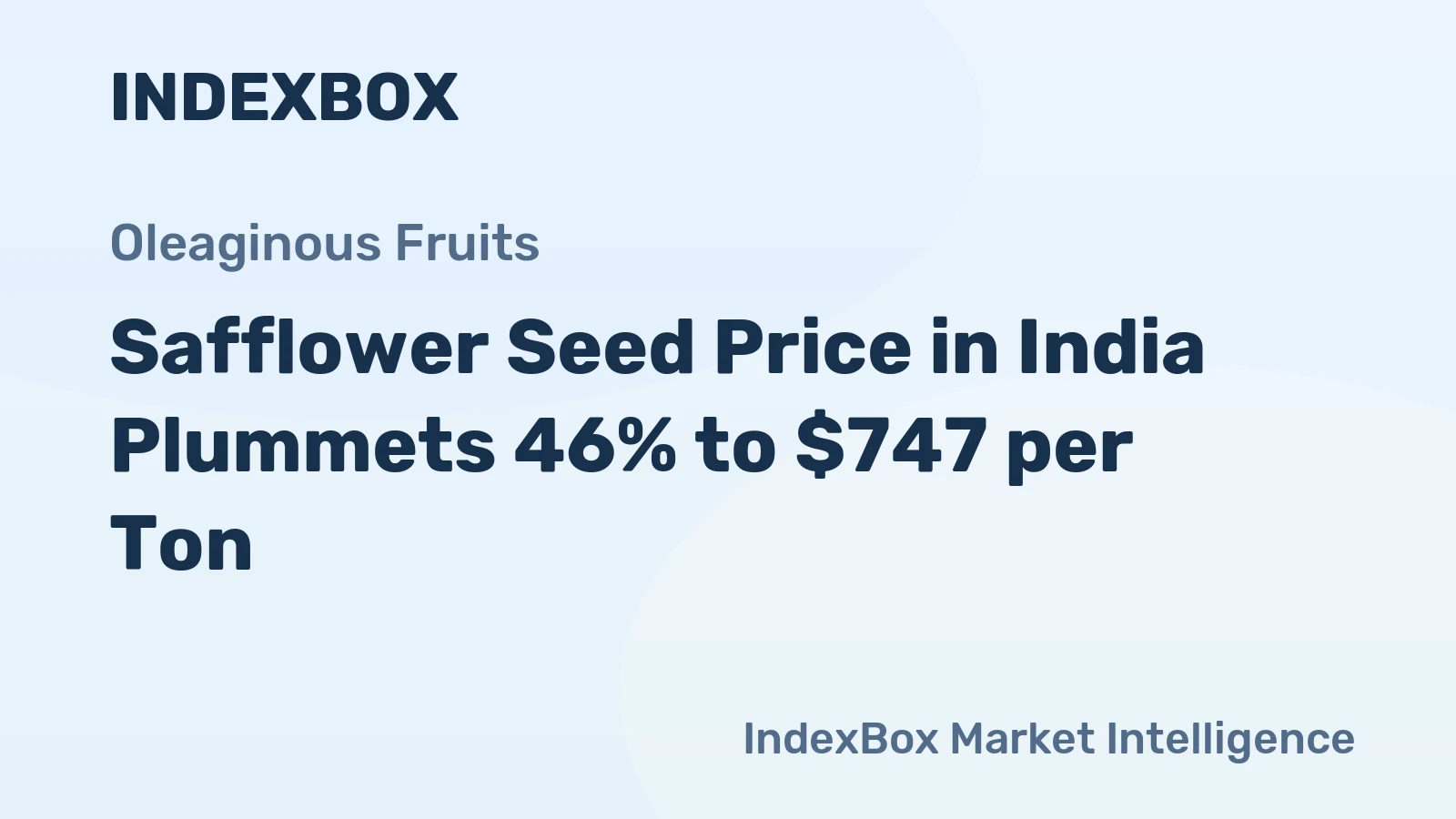 Safflower Seed Price in India Plummets 46% to $747 per Ton