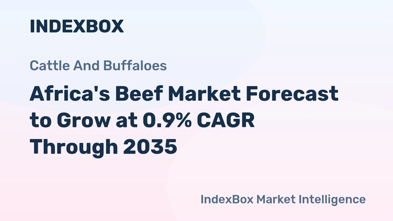 Africa's Beef Market Forecast to Grow at 0.9% CAGR Through 2035