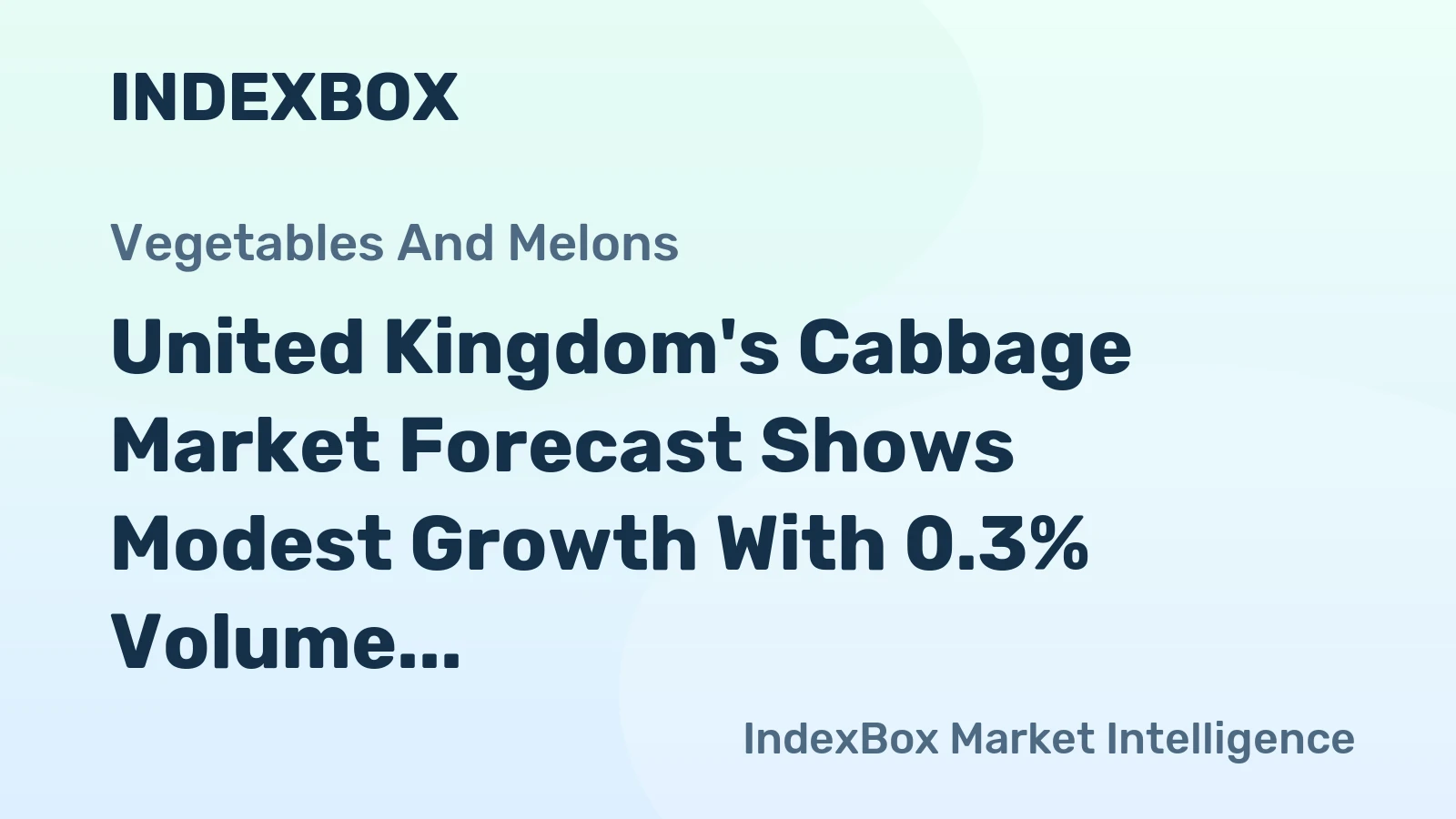 United Kingdom's Cabbage Market Forecast Shows Modest Growth With 0.3% Volume CAGR