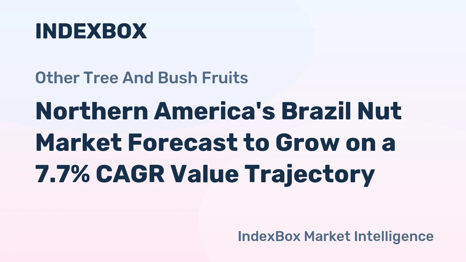 Northern America's Brazil Nut Market Forecast to Grow on a 7.7% CAGR Value Trajectory